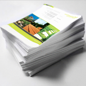 Color 02 - LTR (Double Sided Standard Paper) | The Print Shop ...